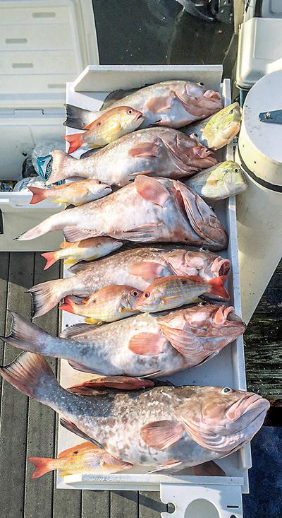 They work for us | Waterline | yoursun.com