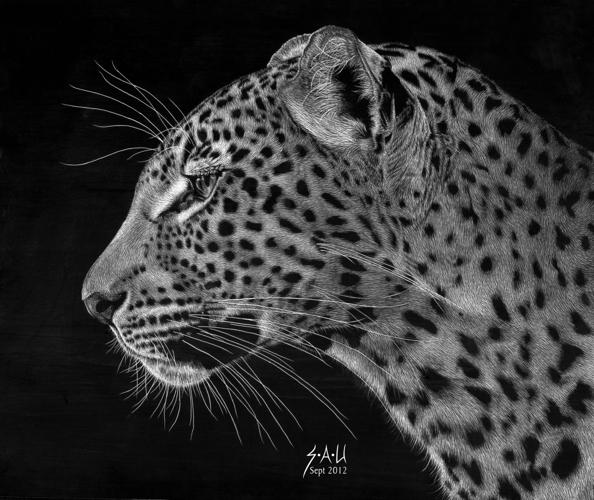 Placida Market featured Artist of the Week | News Archives | yoursun.com