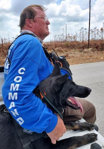Local cadaver dogs search, find bodies in Bahamas after Hurricane ...