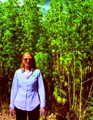 Florida Ag: Hemp has 'cash crop' potential | Sebring | yoursun.com