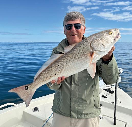 Reader photos | Waterline | yoursun.com