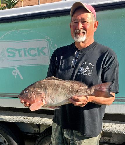 Reader photos | Waterline | yoursun.com