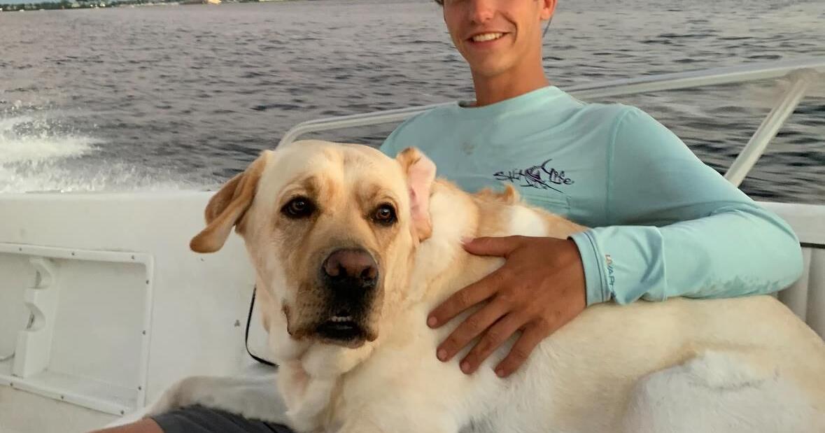 Nicholas Denver Knowlton | Obituaries | yoursun.com