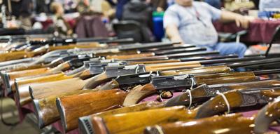 What you should know about private gun sales | Waterline | yoursun.com