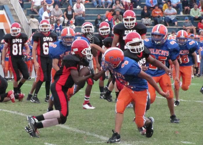 Panthers lose game and district title to Hardee | News Archives ...