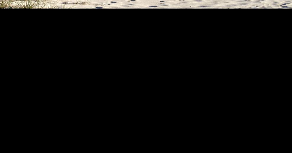 Who needs the Gasparilla Light? | Waterline | yoursun.com