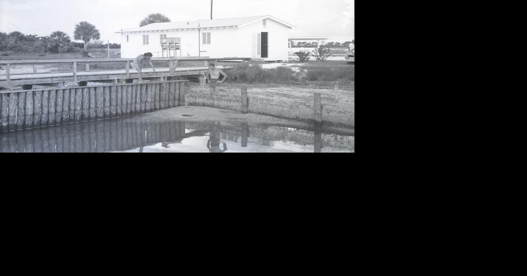 When Dr. Eugenie Clark directed the Cape Haze Marine Lab | | yoursun.com