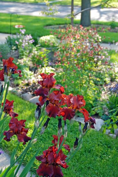 The secret to a bountiful garden and beautiful landscape | Newsarchives ...