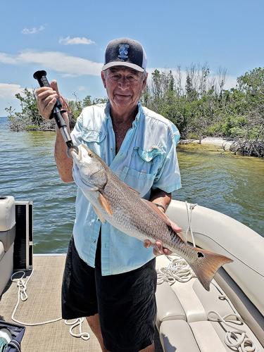 Reader photos | Waterline | yoursun.com