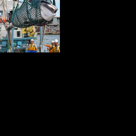 Slack Tides | Waterline | yoursun.com