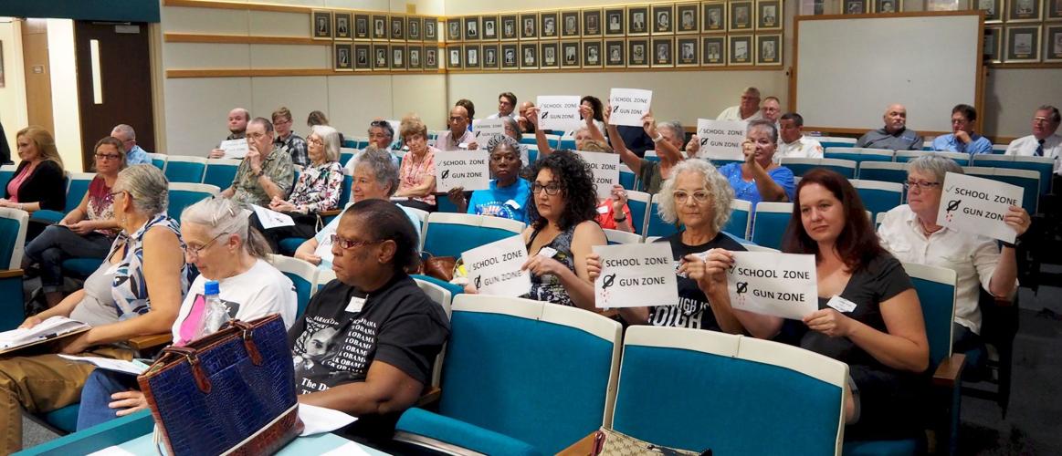 Sebring City Council discusses gun zone, pay increase for police ...
