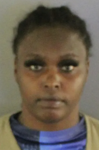 Three suspects charged in Best Buy theft | Port Charlotte News ...