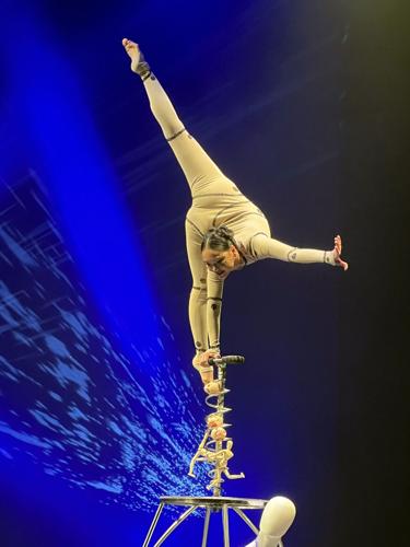 Summer Circus Spectacular lives up to its name | Go! | yoursun.com