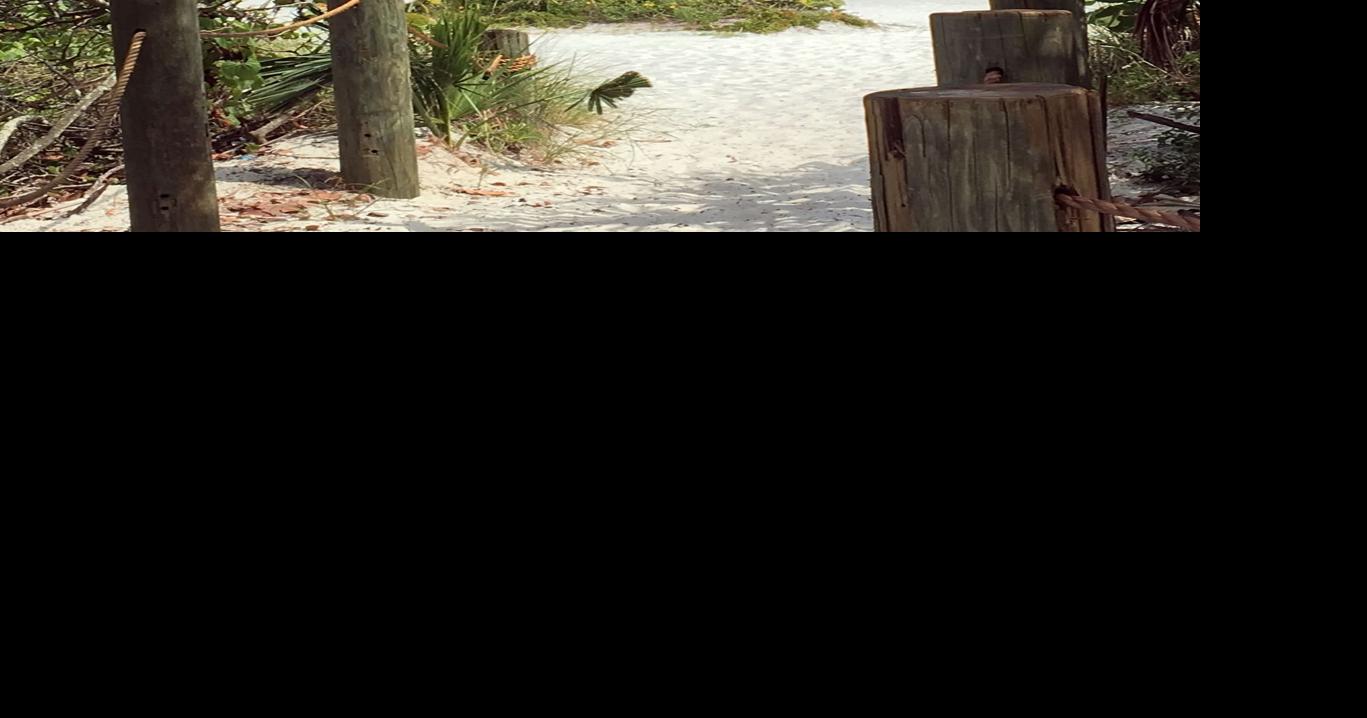 Siesta Key beach returns to No. 1 spot | The Gondolier | yoursun.com