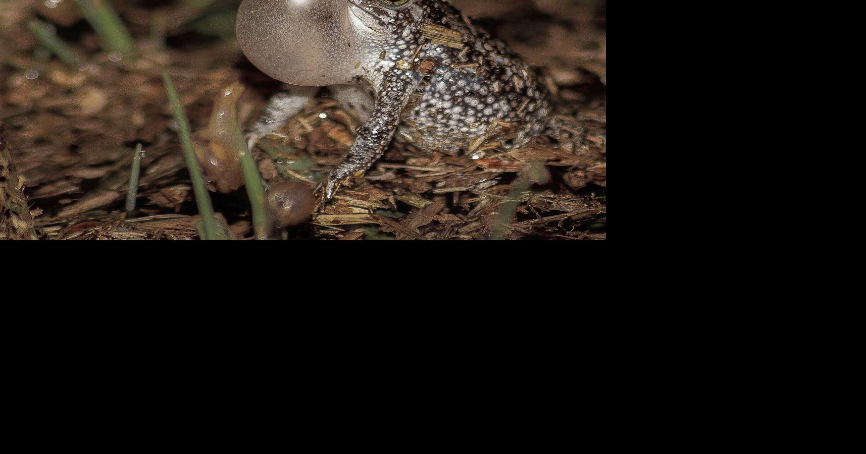 Ready to rain toads | Waterline | yoursun.com