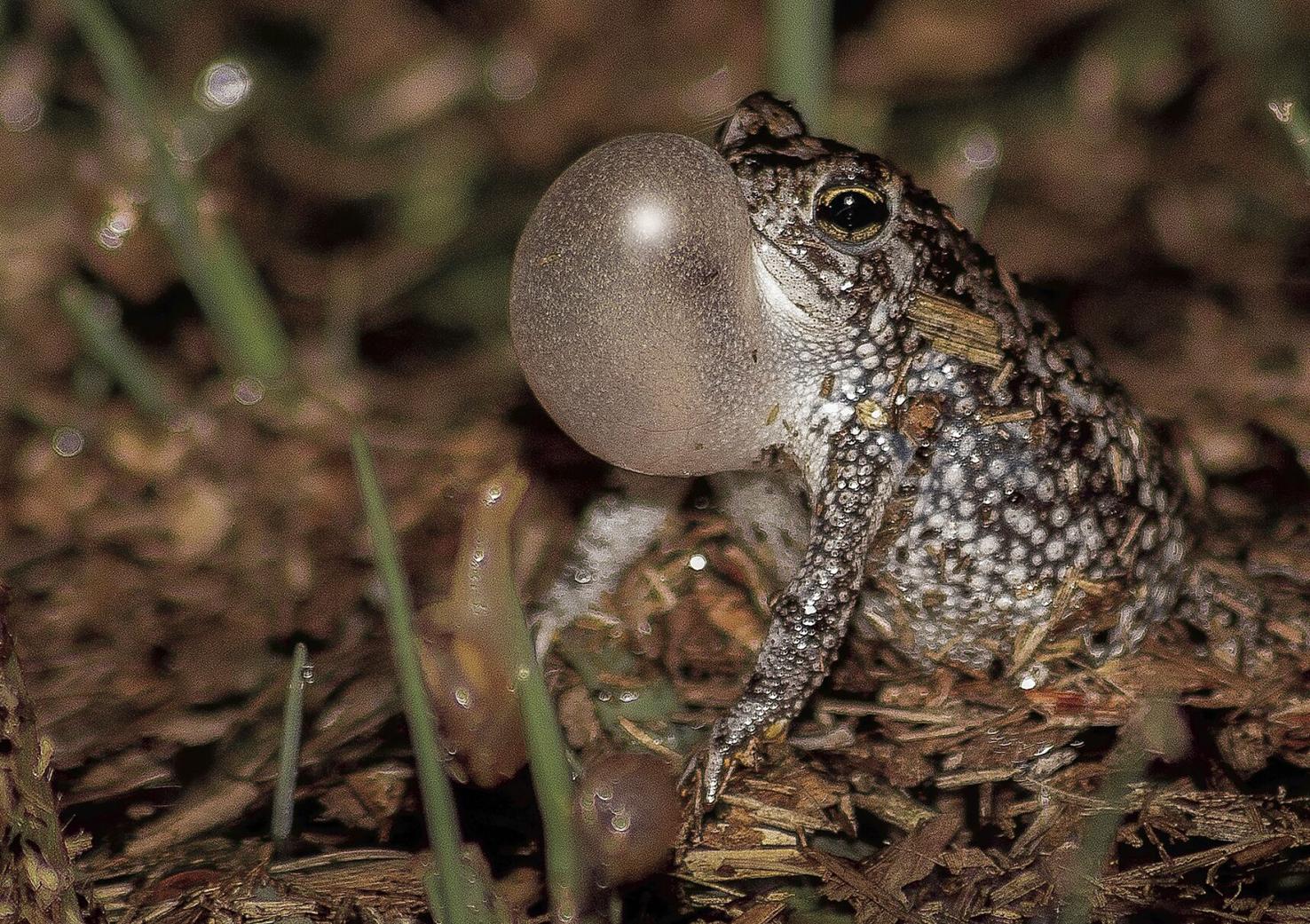 Ready to rain toads | Waterline | yoursun.com