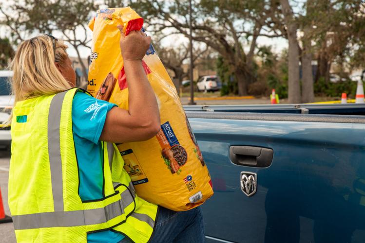 Free vet care, pet food at Mid-County Regional Library | Port Charlotte ...