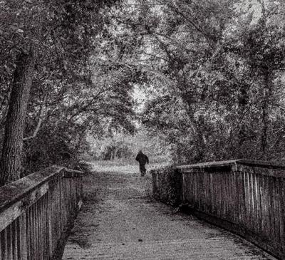 Officials holding photo contest to catch images of elusive 'Skunk Ape ...