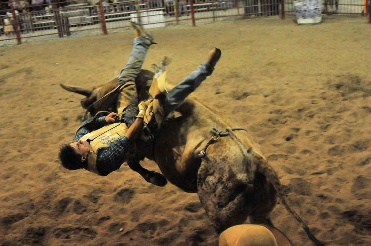 Courson continues hot streak in Thunderdome | News Archives | yoursun.com