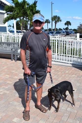 Fewer plan to travel over Thanksgiving | News | yoursun.com