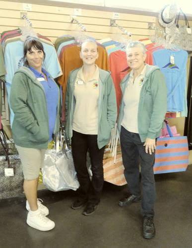 Meet the merchant | News Archives | yoursun.com