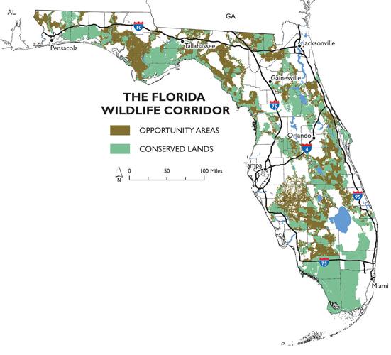 Wildlife corridor expansion eyed: Land in Charlotte, DeSoto included ...