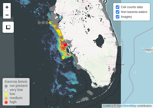 NOAA: Red tide to intensive Wednesday, Thursday | News | yoursun.com