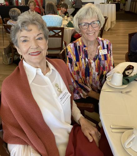 Garden Club helps light up the city | | yoursun.com