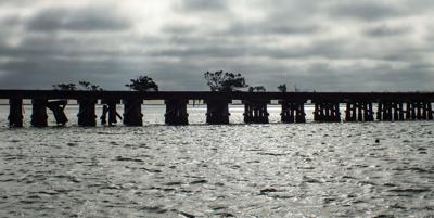 Understanding structure: All fishermen talk about it, but what is it ...