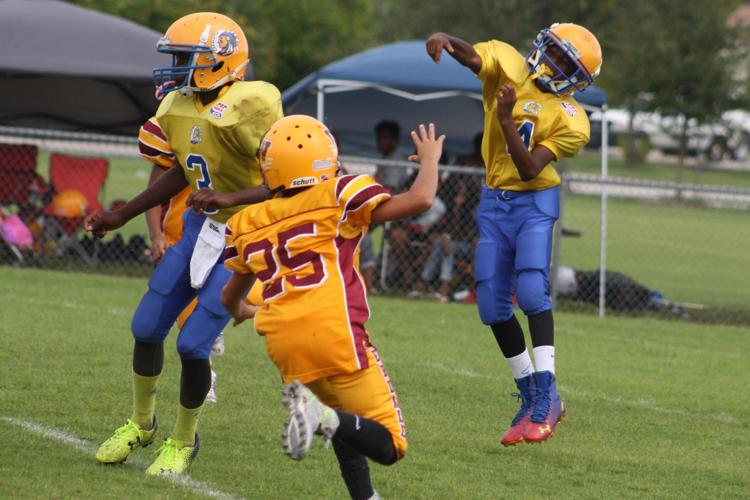 Warriors get mixed results against Riverdale | News Archives | yoursun.com