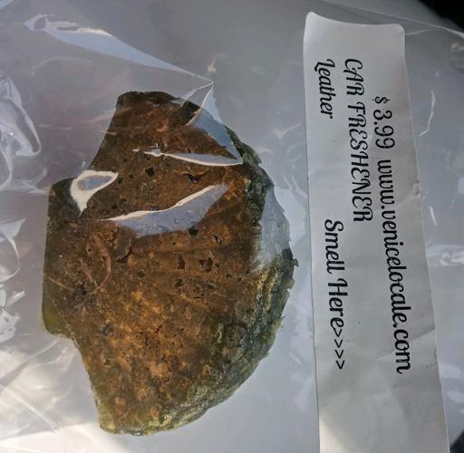 Venice Locale: A gathering place for artists | News | yoursun.com