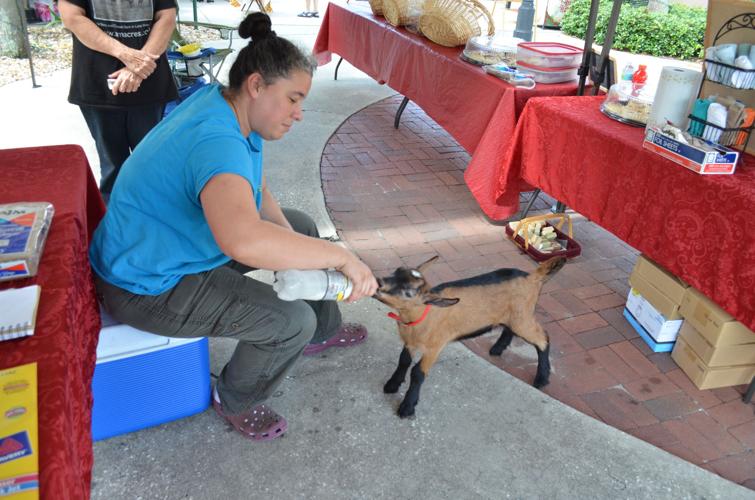Sunny day at Farmers Market draws a crowd | Newsarchives | yoursun.com