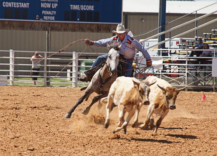 Ranch Rodeo puts spotlight on authentic cowboy skills | News Archives ...