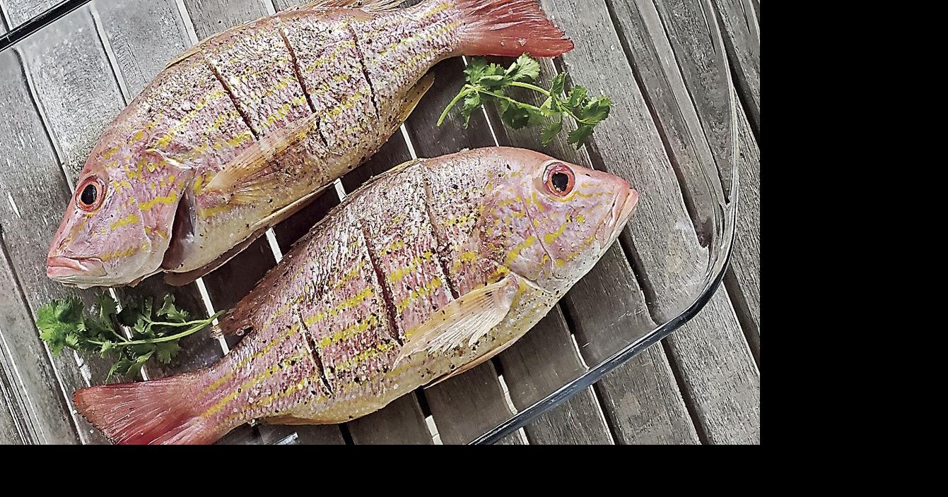 Red snapper opening, lane snapper closing, redfish and drones ...
