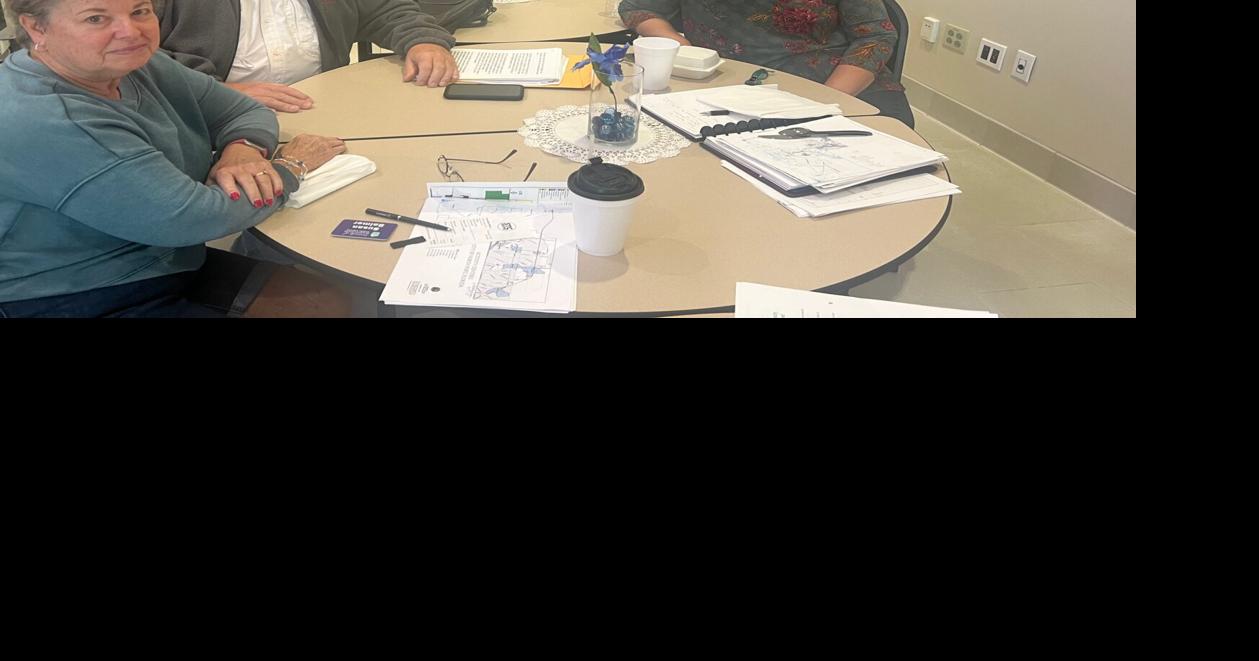 North Port residents question city's plans for rezoning | News ...