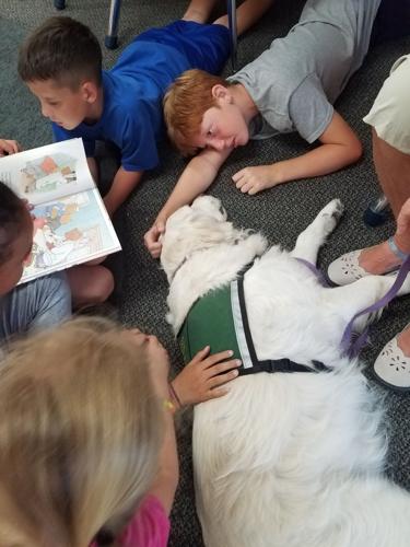 Dogs read to children as part of reading program | The Daily Sun ...