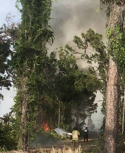 Brush fire burns behind Englewood's Dever Park | News | yoursun.com