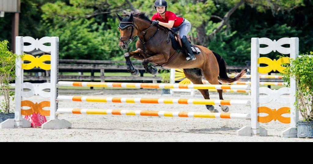 Fox Lea Farms sets schedules, camps | Go! | yoursun.com