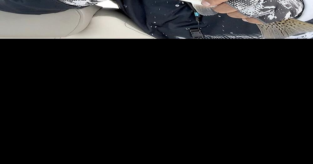 Your fishing photos | Waterline | yoursun.com