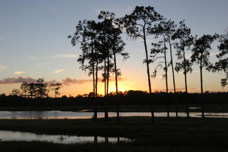 Developer plans major concert venue | Newsarchives | yoursun.com