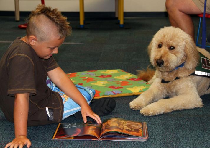 Kids read, dogs listenat Elsie Quirk Library | News Archives | yoursun.com