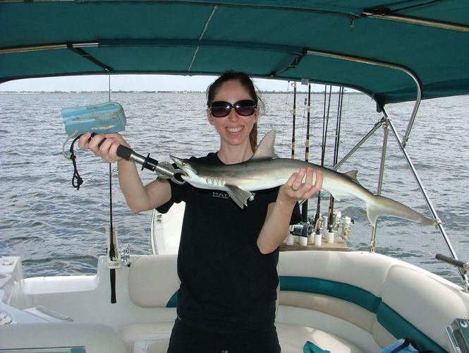 Reader Photos | Waterline | yoursun.com