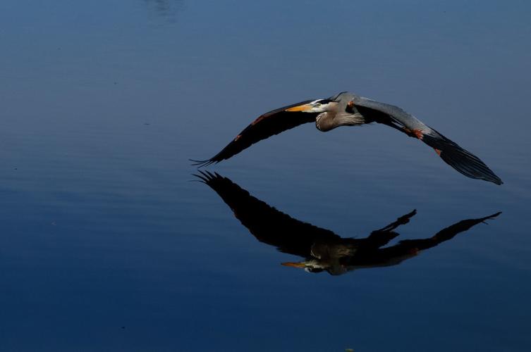 Jerry Waters: Teaching and photography, the best of both worlds | News ...