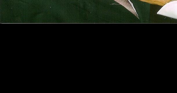 William Clopton II | News Archives | yoursun.com