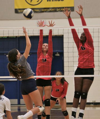 Junior varsity volleyball underway | | yoursun.com