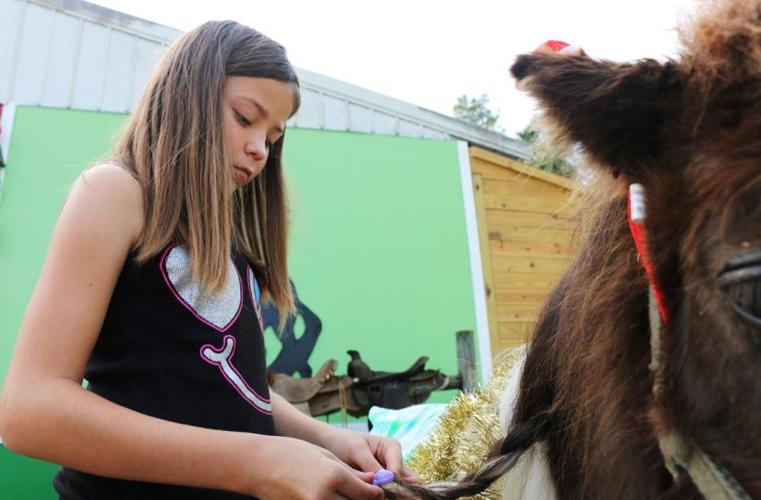 Ponies on parade | News Archives | yoursun.com