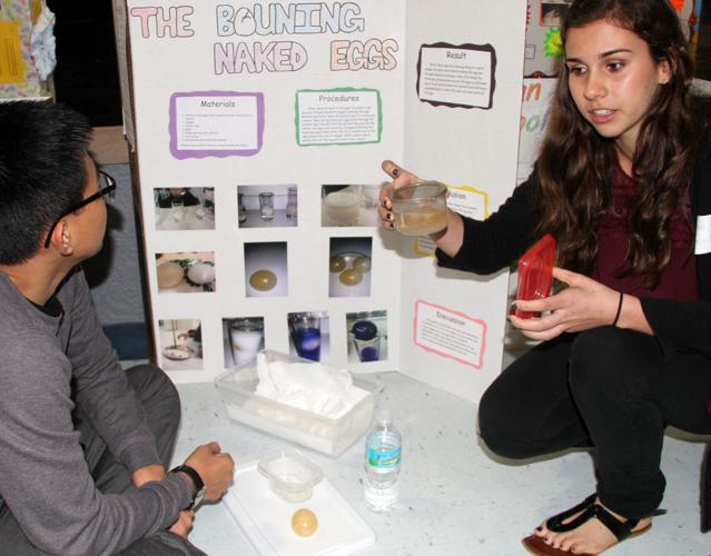 Science Fair held at Neil Armstrong Elementary | News Archives ...