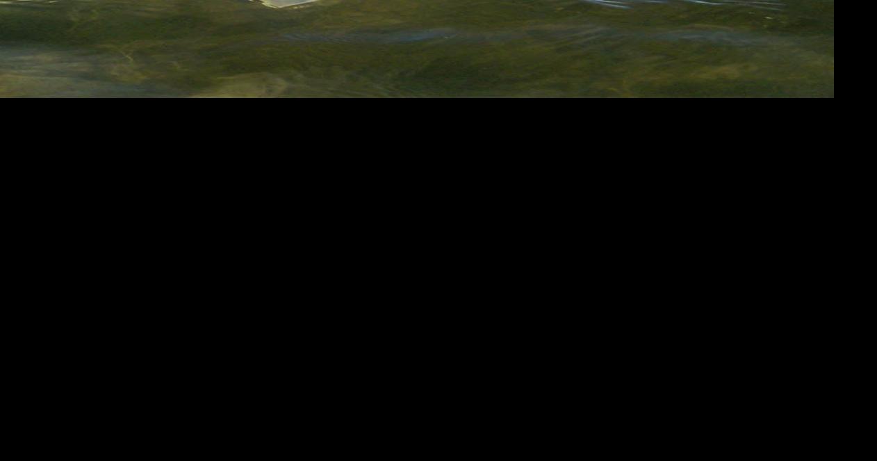 The fish of fall | Waterline | yoursun.com