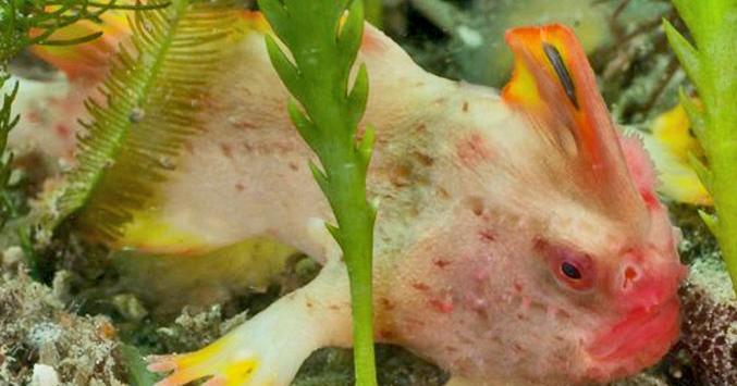 Slack Tides | Waterline | yoursun.com