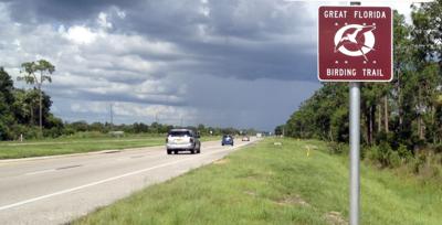 FWC singing about new birding trail signs | Waterline | yoursun.com